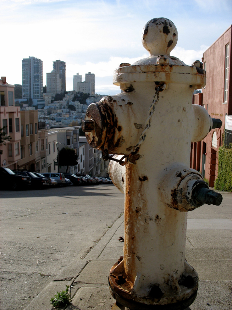 Coit Tower Hydrant, San Francisco - David Olimpio