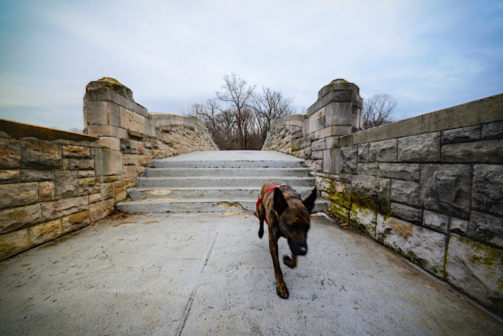 Longview - David Olimpio